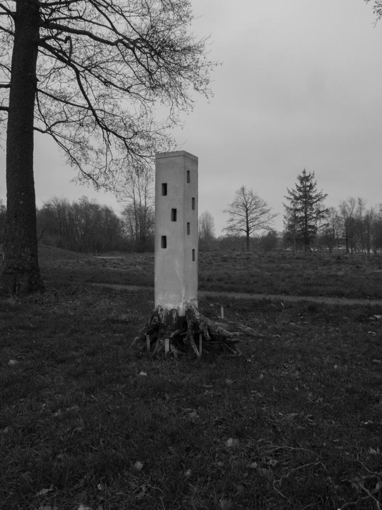 Root Block – KRIS SAHLHOLDT